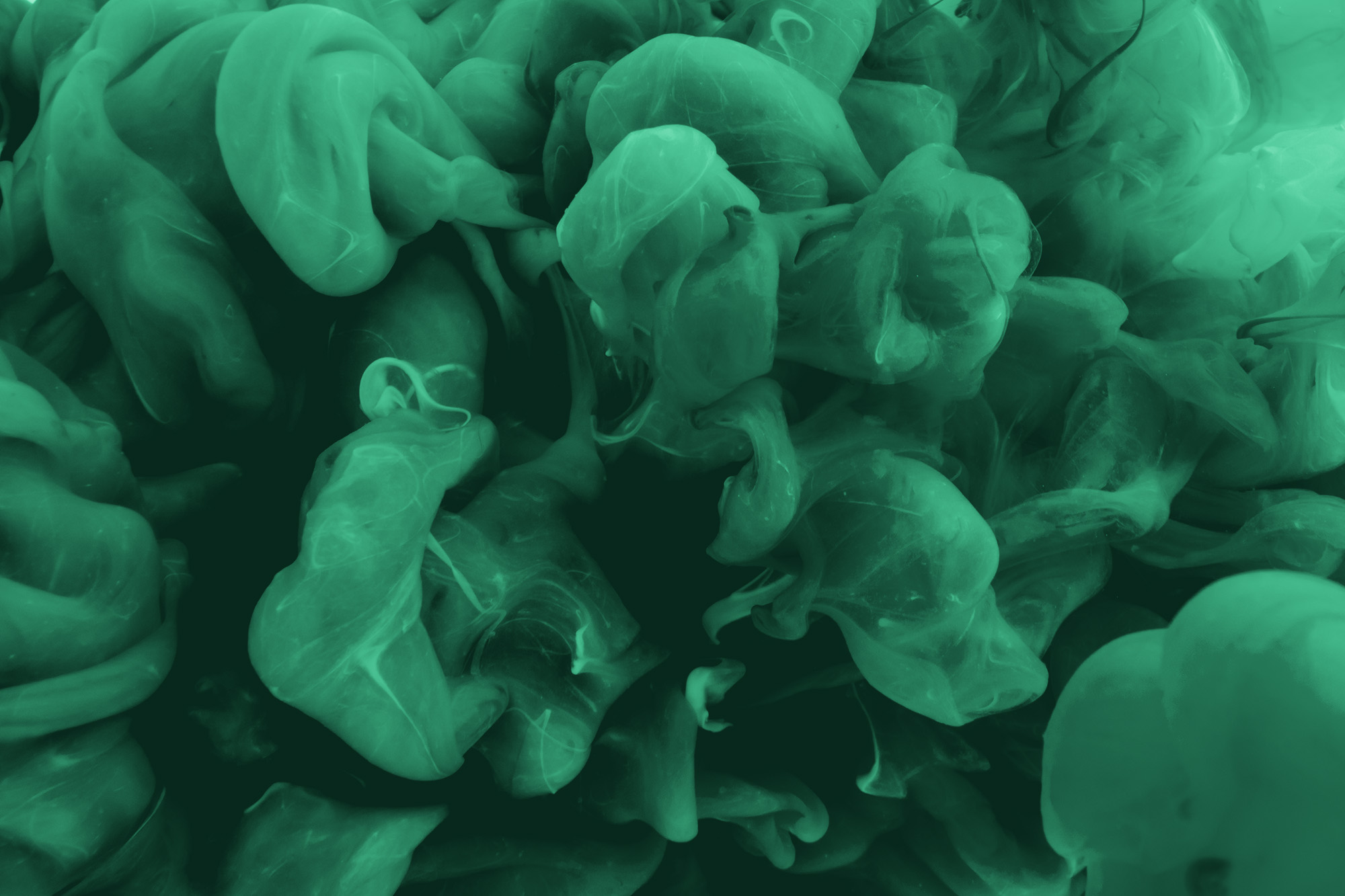 Defeat Ransomware Attacks | Ultimate Protection Guide | WithSecure™